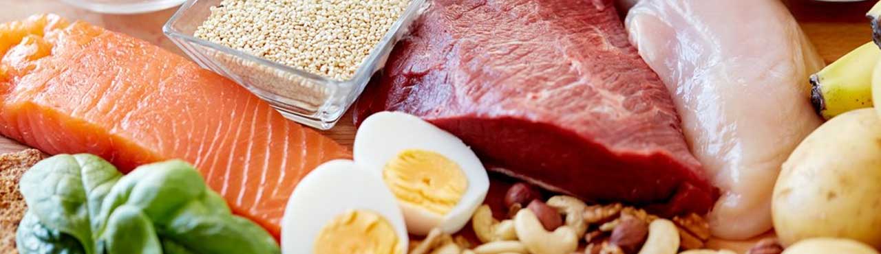 10 Protein Powder Substitutes & Alternatives (2023 Upd.)