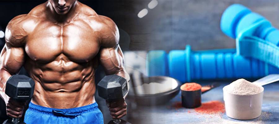 10 Best Hydrolyzed Whey Protein Powders (2023) Buyer's Guide