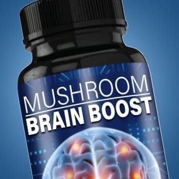 Mushroom Brain Boost Review: Is It Fake or Legit? (2023)
