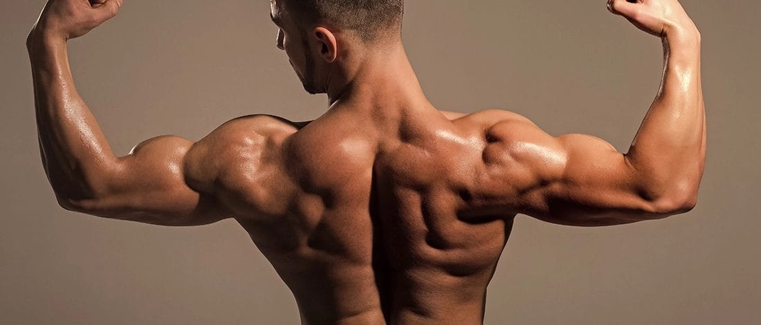 10 Best Trapezius Exercises (Bigger, Stronger Trap Muscles)
