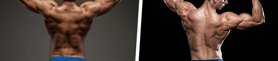 9 Best Erector Spinae Exercises (Improve Your Posture)